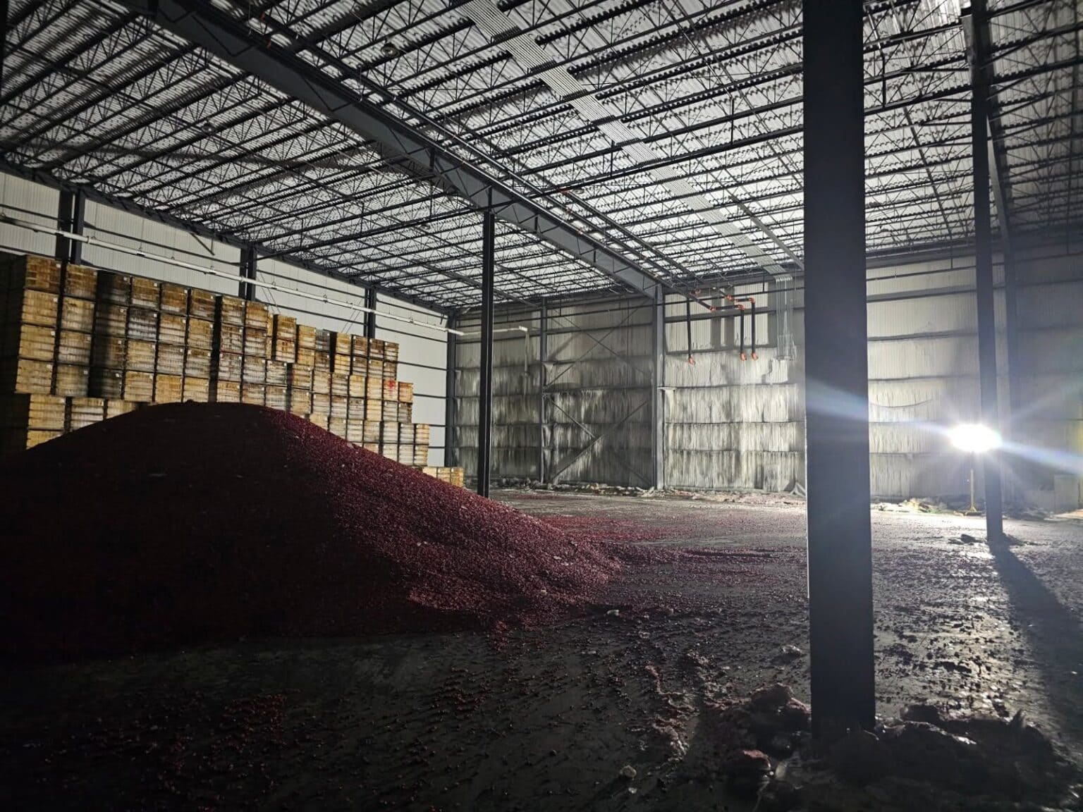 Grain Spoilage & Contamination: Causes, Signs, and Solutions