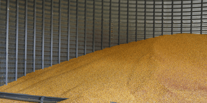 Silo Blockages, Clogging, and How to Address Them