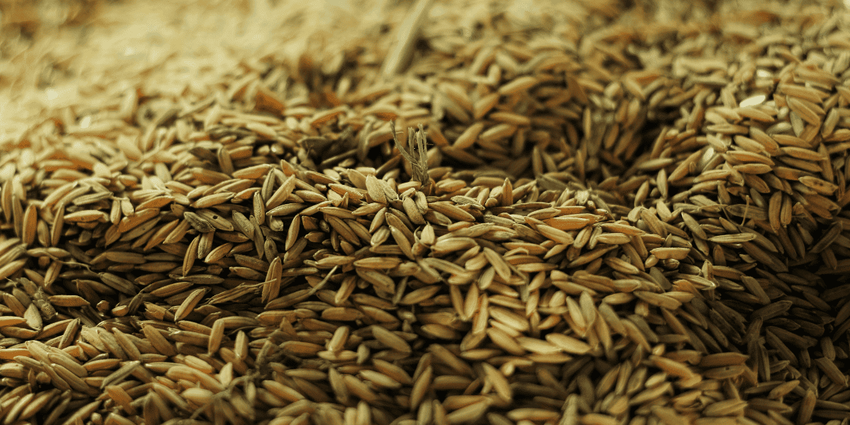 Common Grain Silo Emergencies Farmers Face