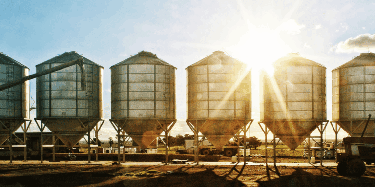 Types of Silos: A Complete Guide to Grain Bins, Towers, Bunkers, and Bags